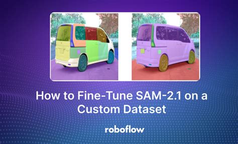 how to fine tune sam 2 1 on a custom dataset