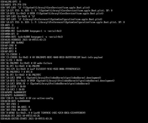 catalina fails to boot for some reason but doesn t say why · issue 539 · myspaghetti macos