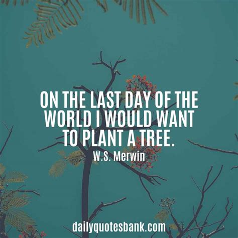 100 Inspirational Quotes About Planting Trees For Future Generations