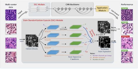 Stain Standardization Capsule For Application Driven Histopathological Image Normalization
