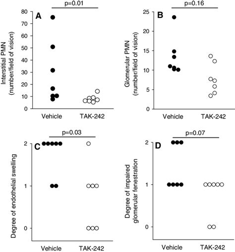 Number Of Polymorphonuclear Leukocytes Pmns In Interstitium A And Download Scientific
