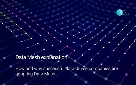 Data Mesh Explanation How And Why Successful Data Driven By Agile Lab Agile Lab