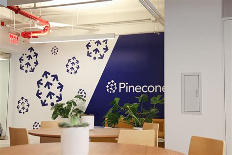 Pinecone Launches Its Serverless Vector Database Out Of Preview Techcrunch