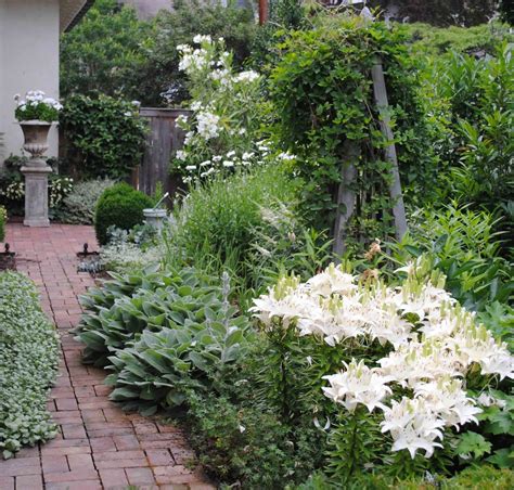 Клумбы с лилиями на даче 70 фото НА ДАЧЕ ФОТО