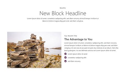 Landing Page Builder App For Dnn And Oqtane Using 2sxc