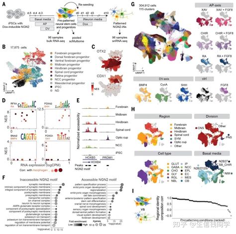 Science｜神经领域的顶级生信文章，单细胞做得十分值得学 知乎