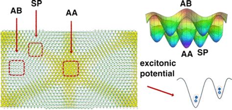Delocalization Of Quasiparticle Moiré States In Twisted Bilayer Hbn