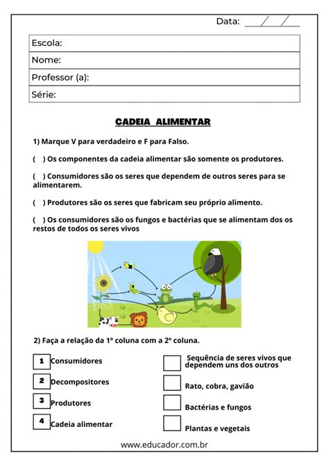 15 Atividades sobre Cadeia Alimentar para 4º ano Educador