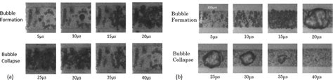 Bubble Dynamics A Nucleate Boiling At 50 V 10 µs Pulse And B