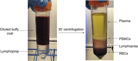 Cell Press Star Protocols