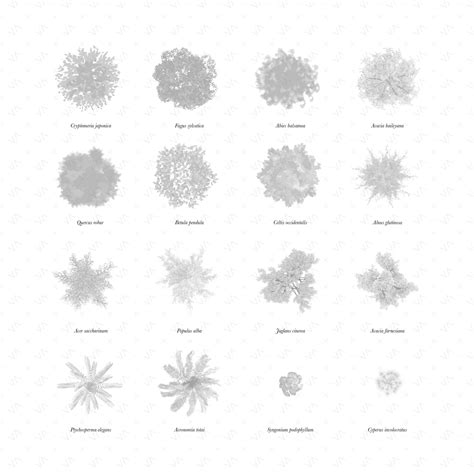 Flat Vector Plan Vegetation And Shadows Bundle Toffu Co
