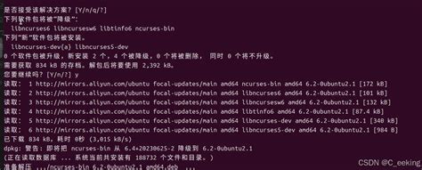 ubuntu23 10下处理libncurses5 dev包的安装问题 csdn博客