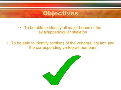 Principles Of A P 1112 Session 1 Skeletal System Ppt