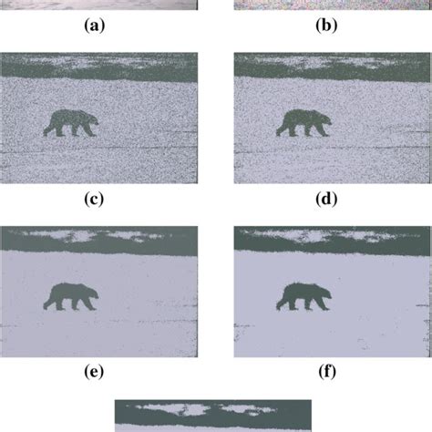 The Segmentation Results Of Different Clustering Methods On The Color