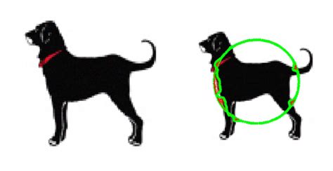 Figure 3 From Geometric Active Contour Detection Using Gradient Vector Flow And Shape Based