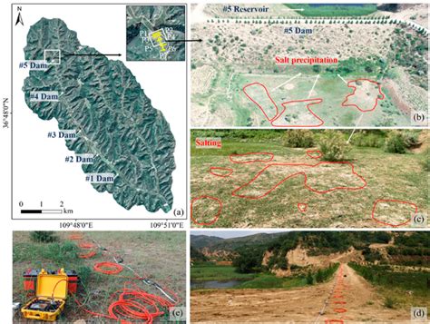 Layout Of Ert Profiles And Field Photos A Remote Sensing Image Map