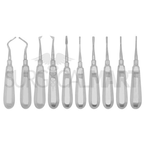 10 Pcs Dental Elevators Set Extraction Surgical Instruments