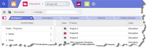 Planisware Multi Project Timeline Onepager