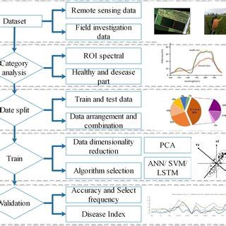 The Flow Of Data Analysis Download Scientific Diagram