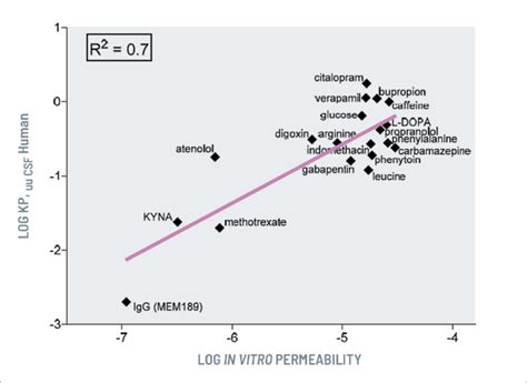 Bbb Assay Service Irbm