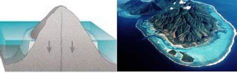 Coral Reef Fringing Reef Barrier Reef And Atoll Pmf Ias