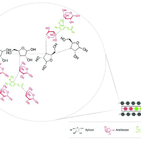 Solid State Fermentation And Submerged Fermentation Download