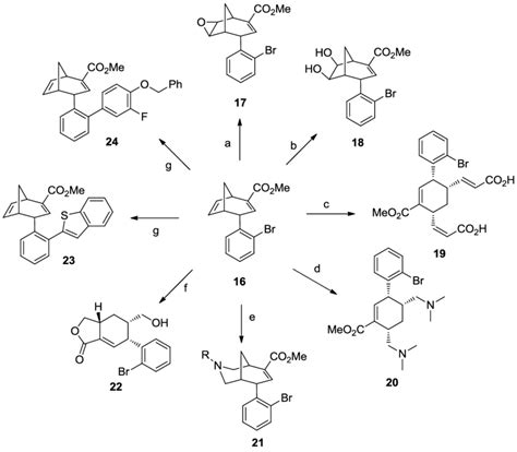 Scheme 6 Library Synthesis From The Key Intermediate 16 The Download Scientific Diagram