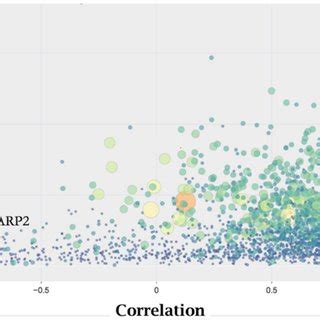 The Global Relationship Between Exon And Intron Read Levels Circles Download Scientific