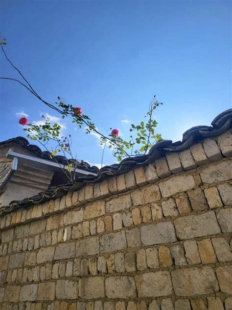 Nextjs学习系列classnames 知乎