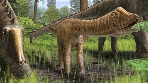 Diplodocus How Many Teeth