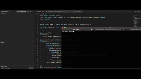 Source Code Review And Dynamic Analysis Of Python Web Application Youtube