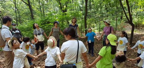 아이들과 함께 숲에서 놀아요