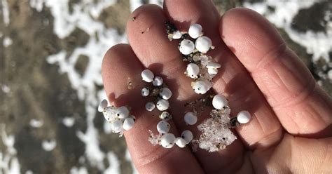 Runaway Floating Dock Spills Styrofoam Beads Into Lake Tahoe