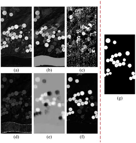 remote sensing free full text unsupervised transformer boundary