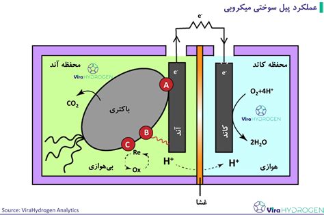 مروری بر فناوری پیل سوختی میکروبی Mfc Vira Hydrogen