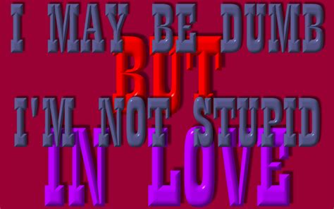 Stupid Quotes About Love Quotesgram