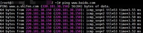 Linux Ping Ttl
