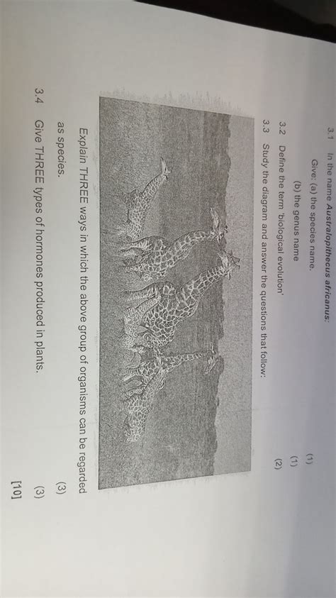 3 1 In The Name Australopithecus Africanus A Give The Species Name 1