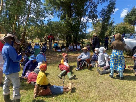 Botha Bothe To Receive Ifad Visitors Lesotho News Agency