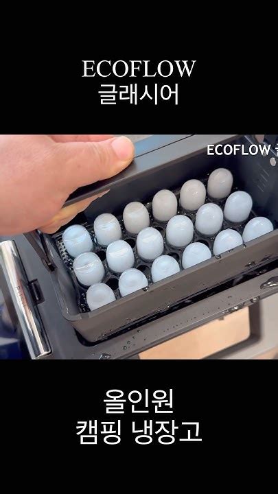 얼음까지 만들어주는 똑똑한 캠핑냉장고 에코플로우 글래시어 대박 에코플로우 캠핑냉장고 캠핑필수템 Dc냉장고 Youtube