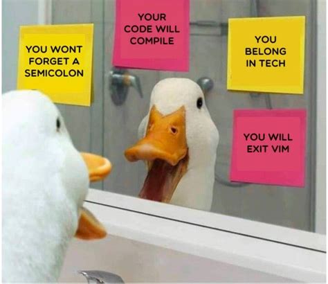 Coding Cybersecurity Codefellows Training Beginnerfriendly Development Education