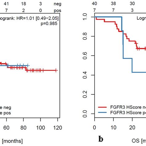 Fgfr Aberrations In Primary Tumors Venn Diagram Shows That Many Tumors Download Scientific