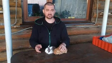Как приучить кролика к рукам Смотреть онлайн в поиске Яндекса по Видео