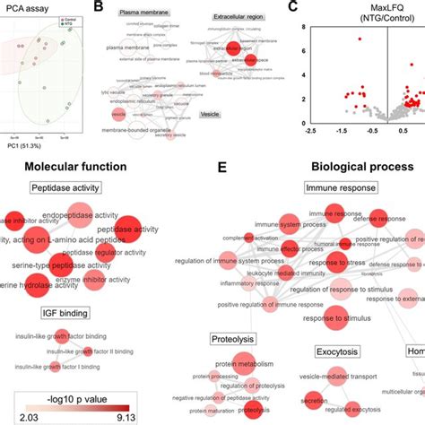 A Principal Component Analysis Plot For Global Proteomic Data In The Download Scientific