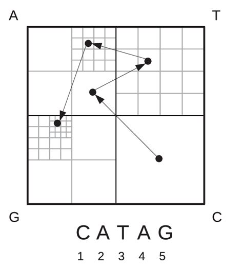 Chaos Game Representation Example Mapping For Creating A Cgr Based On