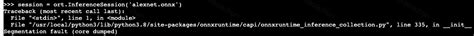 Got Segmentation Fault Error When Using InferenceSession API Issue