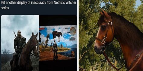 The Witcher 3 10 Roach Memes That Prove The Game Makes No Sense
