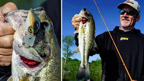 How To Fish Big Squarebill Crankbaits Around Timber Wired2fish