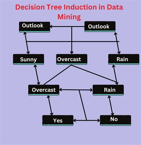 Decision Tree Induction In Data Mining Naukri Code 360
