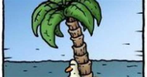 When My Bookmarks File Goes Missing Imgur